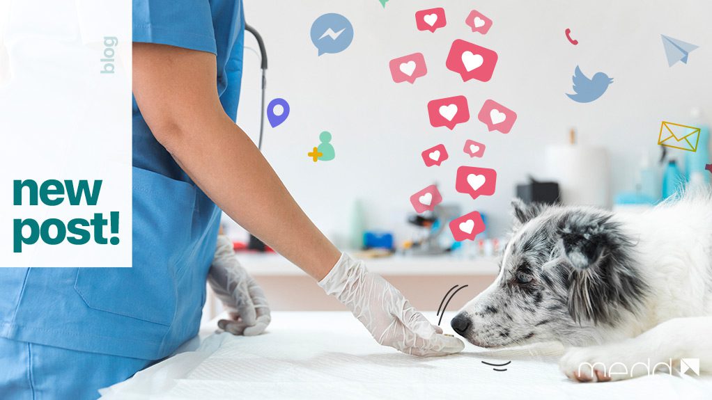 Estratégias de marketing para Veterinárias - Medd Design Health